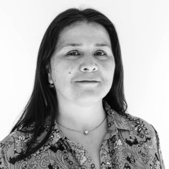 María Fernanda Ramírez Bernal - Institute for Transportation and ...